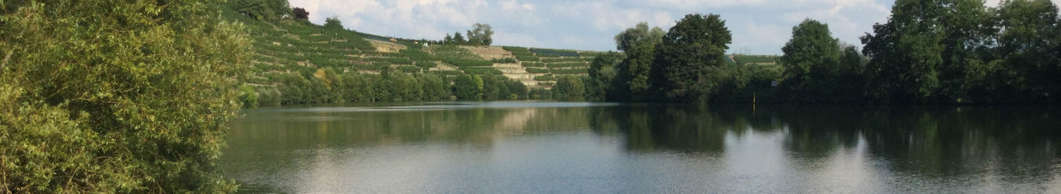 Neckarradweg Etappen-Planer | Weinberge, Wald & Stadt