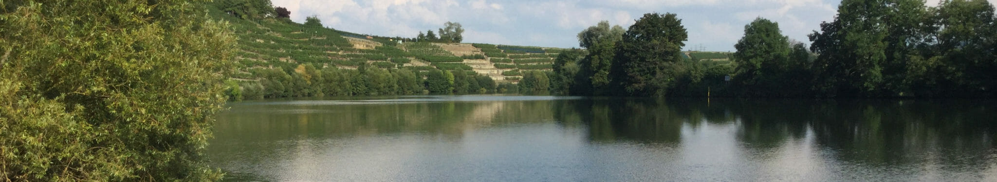 Neckarradweg Etappen-Planer | Weinberge, Wald & Stadt
