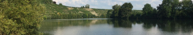 Neckarradweg Etappen-Planer | Weinberge, Wald & Stadt